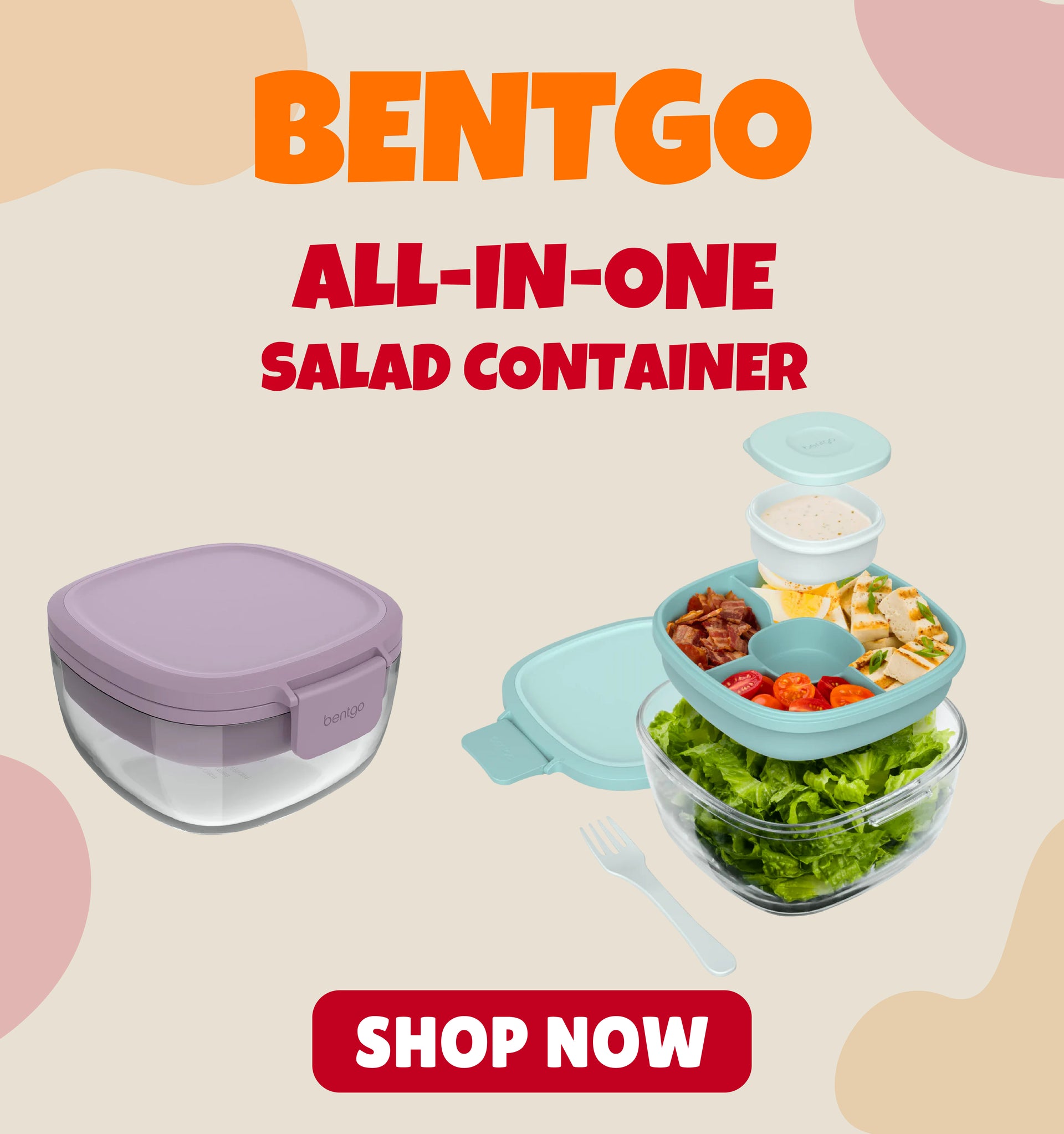 BentoBliss: Eco-Friendly Bento Boxes and Sustainable Drink Bottles
